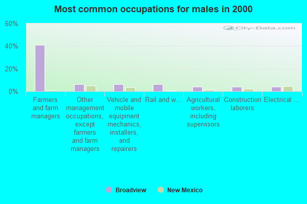 Broadview, New Mexico (NM 88112) profile: population, maps, real estate ...