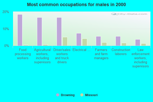 Browning, Missouri (MO 64630) profile: population, maps, real estate ...
