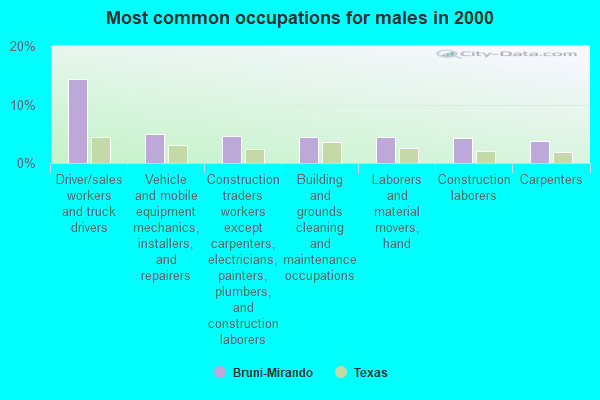 Bruni-Mirando, Texas (TX) profile: population, maps, real estate ...