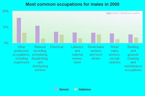 Bynum, Alabama (AL 36260) profile: population, maps, real estate ...