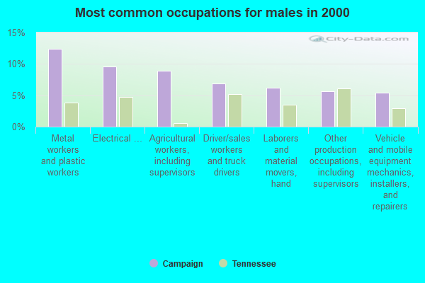 Campaign, Tennessee (TN 38581) profile: population, maps, real estate ...