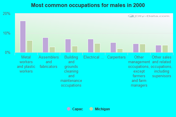 Capac, Michigan (MI 48014) profile: population, maps, real estate ...