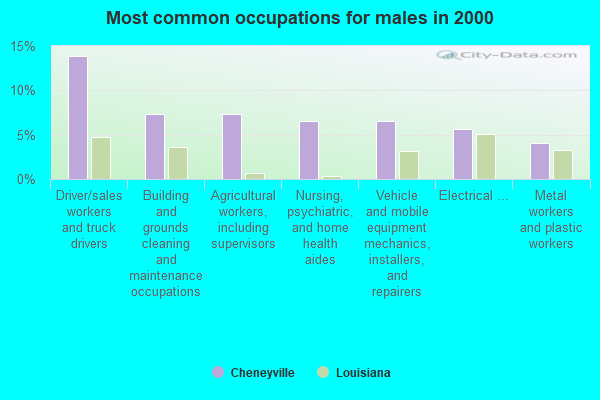 Cheneyville, Louisiana (LA 71325) profile: population, maps, real ...