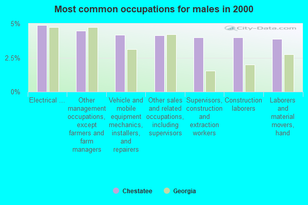 Chestatee, Georgia (GA 30506) profile: population, maps, real estate ...