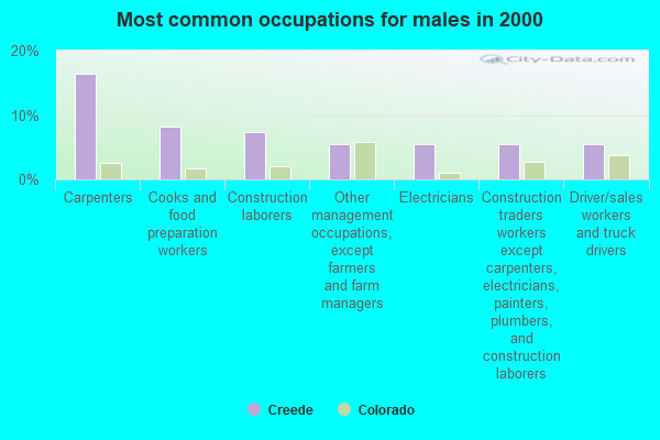 Creede, Colorado (CO 81130) profile: population, maps, real estate ...