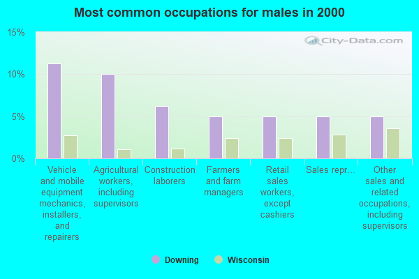 Downing, Wisconsin (WI 54734) profile: population, maps, real estate ...