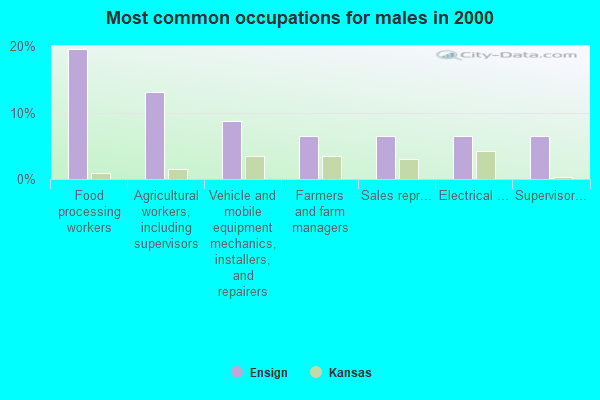 Ensign, Kansas (KS 67841) profile: population, maps, real estate ...