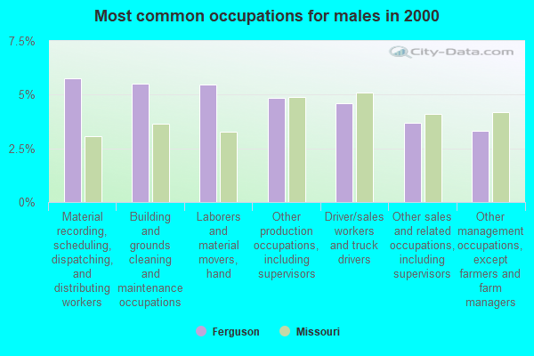 Ferguson, Missouri (MO 63031) profile: population, maps, real estate ...