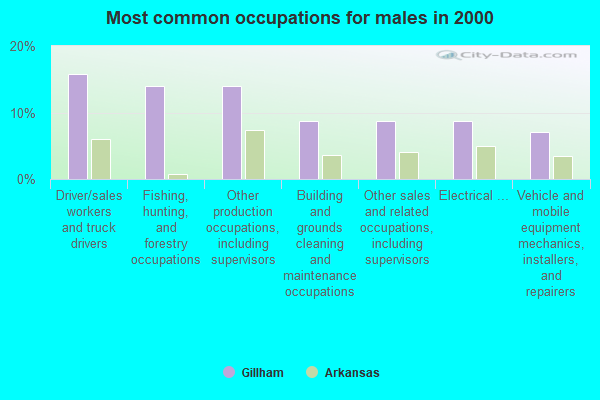 Gillham, Arkansas (AR 71841) profile: population, maps, real estate ...