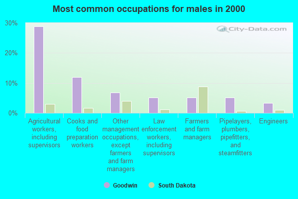 Goodwin, South Dakota (SD 57238) profile: population, maps, real estate ...