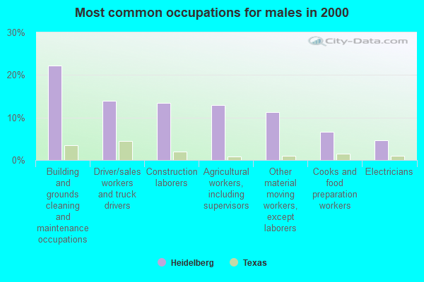 Heidelberg, Texas (TX 78570) profile: population, maps, real estate ...