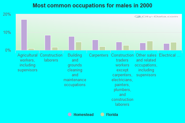 Homestead, Florida (FL 33030, 33033) profile: population, maps, real ...