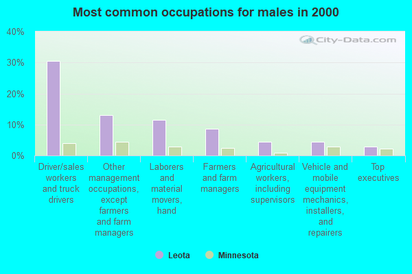 Leota, Minnesota (MN 56153) profile: population, maps, real estate ...
