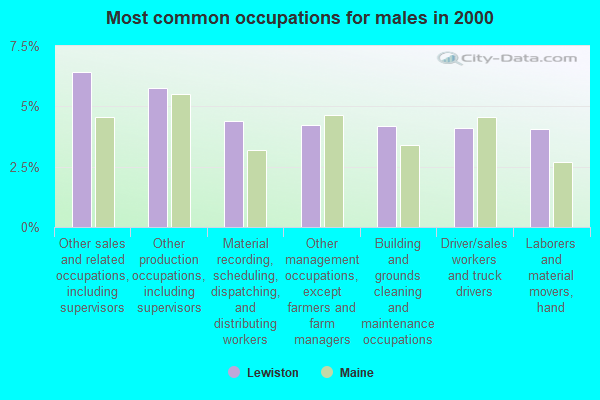 Lewiston, Maine (ME 04240) profile: population, maps, real estate ...