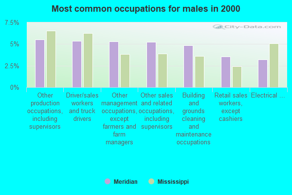 Meridian, Mississippi (MS 39307) profile: population, maps, real estate ...
