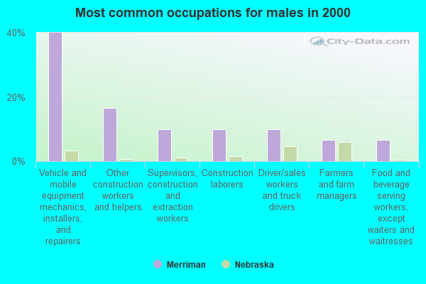 Merriman, Nebraska (NE 69218) profile: population, maps, real estate ...