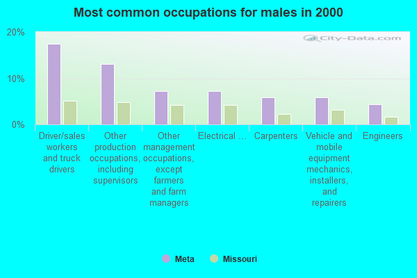 Meta, Missouri (MO 65058) profile: population, maps, real estate ...