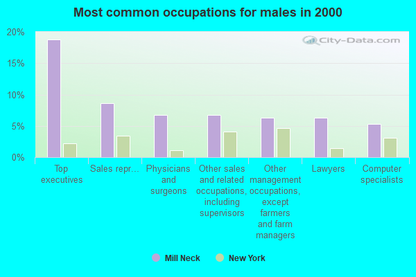 Mill Neck, New York (NY 11765) profile: population, maps, real estate ...