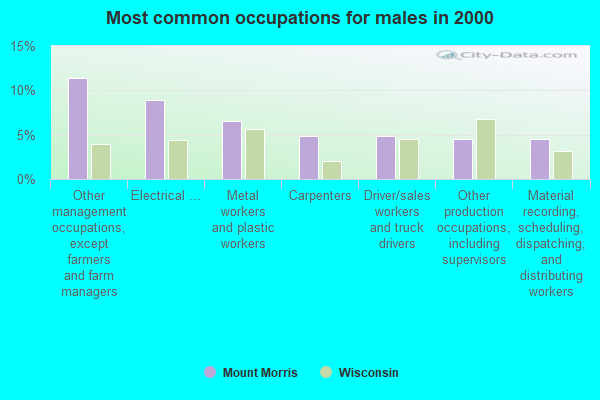Mount Morris, Wisconsin (WI 54982) profile: population, maps, real ...