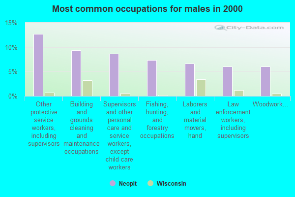 Neopit, Wisconsin (WI 54150) profile: population, maps, real estate ...