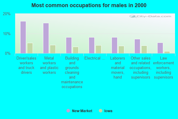 New Market, Iowa (IA 51646) profile: population, maps, real estate ...