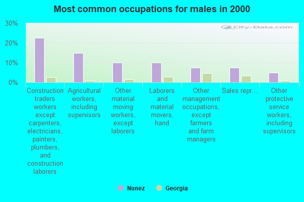 Nunez, Georgia (GA 30448) profile: population, maps, real estate ...