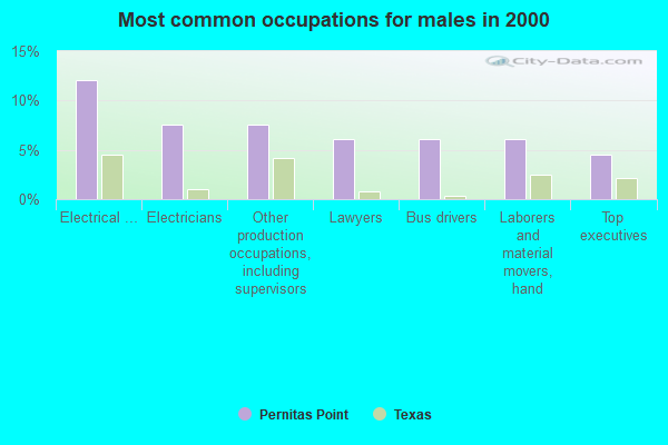 Pernitas Point, Texas (TX 78383) profile: population, maps, real estate ...