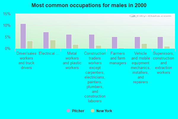 Pitcher, New York (NY 13136) profile: population, maps, real estate ...