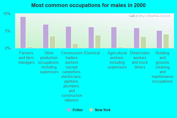 Potter, New York (NY 14507) profile: population, maps, real estate ...