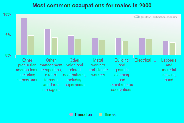 Princeton, Illinois (IL 61356) profile: population, maps, real estate ...