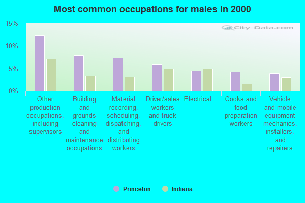 Princeton, Indiana (IN 47670) profile: population, maps, real estate ...