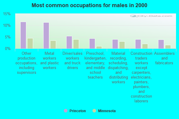 Princeton, Minnesota (MN 55371) profile: population, maps, real estate ...