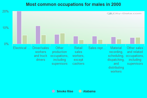 Smoke Rise, Alabama (AL 35180) profile: population, maps, real estate ...