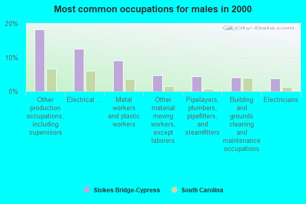 Stokes Bridge-Cypress, South Carolina (SC 29010) profile: population ...