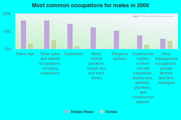 Timber Pines, Florida (FL 34606) profile: population, maps, real estate ...