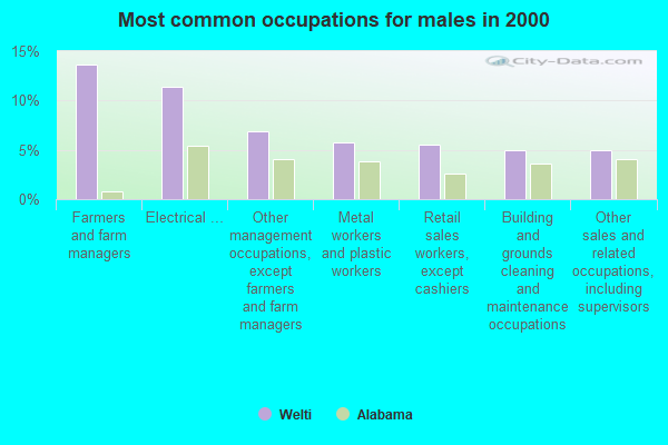 Welti, Alabama (AL 35055) profile: population, maps, real estate ...