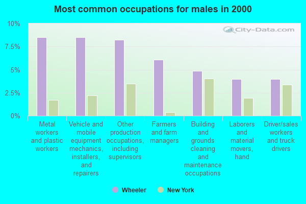Wheeler, New York (NY 14810) profile: population, maps, real estate ...