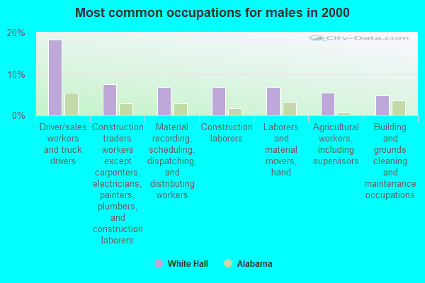White Hall, Alabama (AL 36040) profile: population, maps, real estate ...