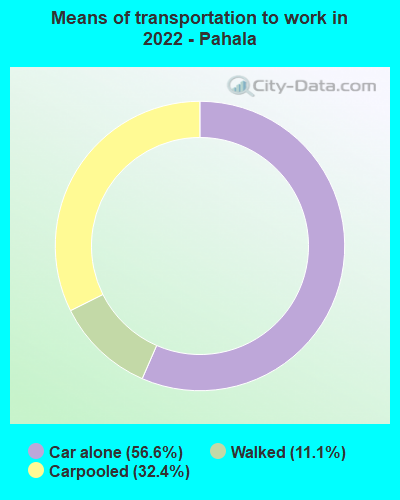Pahala, Hawaii (HI 96777) profile: population, maps, real estate ...