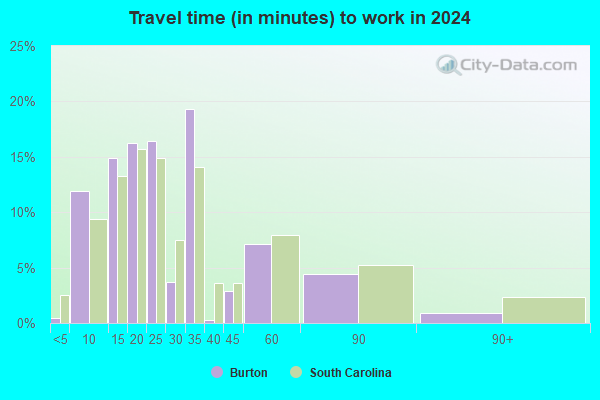 Burton, South Carolina (SC 29906) profile: population, maps, real ...