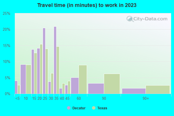 Decatur, Texas (TX 76234) profile: population, maps, real estate ...
