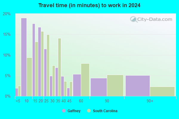 Gaffney, South Carolina (SC 29341) profile: population, maps, real ...
