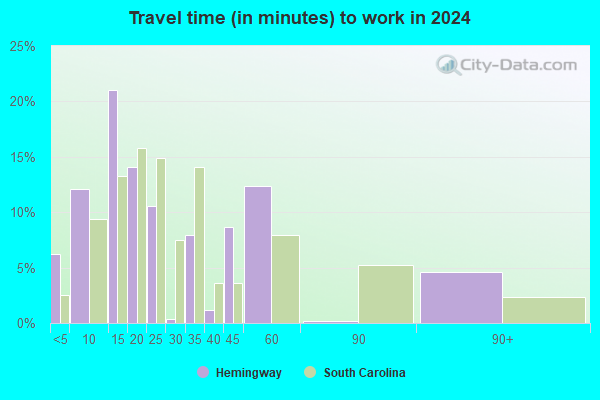Hemingway, South Carolina (SC 29554) profile: population, maps, real ...