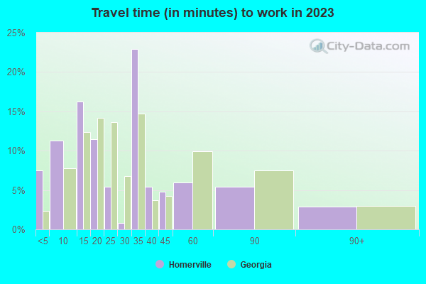 Homerville, Georgia (GA 31634) profile: population, maps, real estate ...