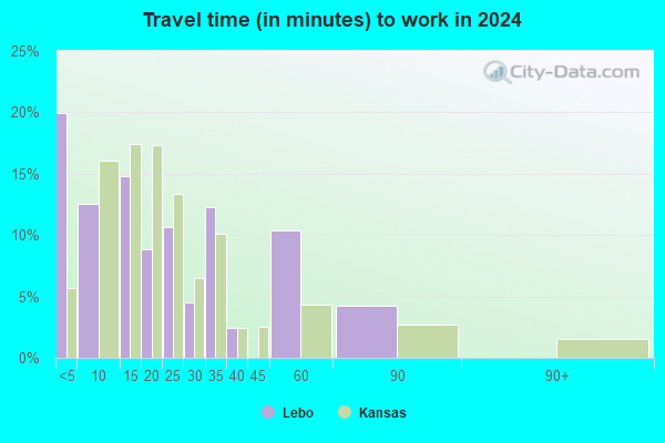 Lebo, Kansas (KS 66856) profile: population, maps, real estate ...
