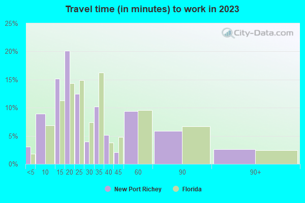 New Port Richey, Florida (FL 34652) profile: population, maps, real ...