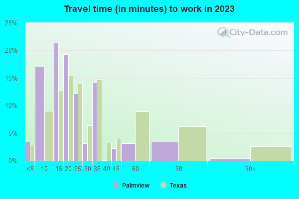 Palmview, Texas (TX 78572) profile: population, maps, real estate, averages, homes, statistics ...
