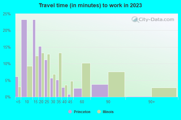 Princeton, Illinois (IL 61356) profile: population, maps, real estate ...
