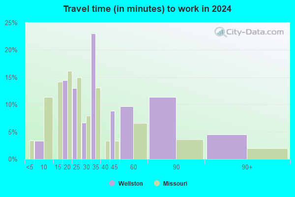 Wellston, Missouri (MO 63133) profile: population, maps, real estate ...