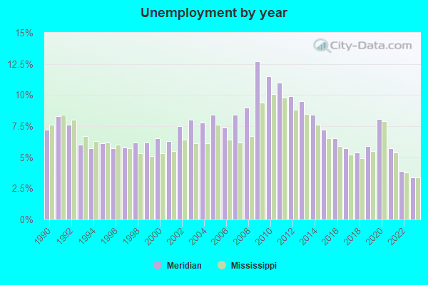 Meridian, Mississippi (MS 39307) profile: population, maps, real estate ...
